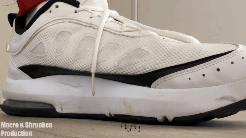 SACHA’S ROUTINE – Shrunken Production